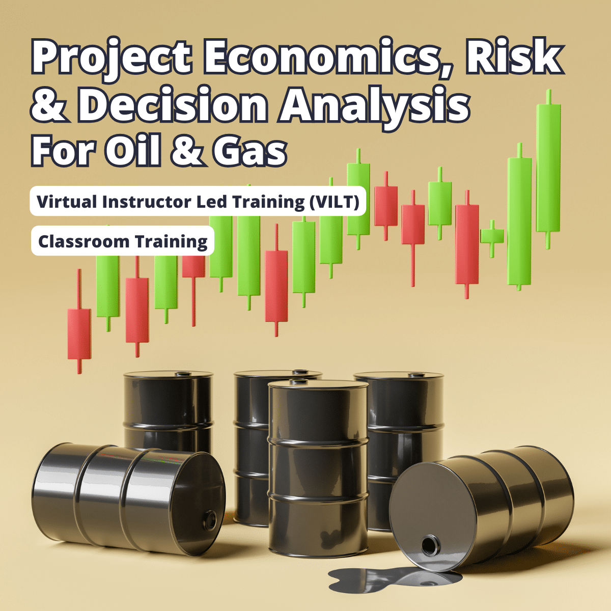 Project Economics Risk and Decision Analysis for Oil & Gas: A ...
