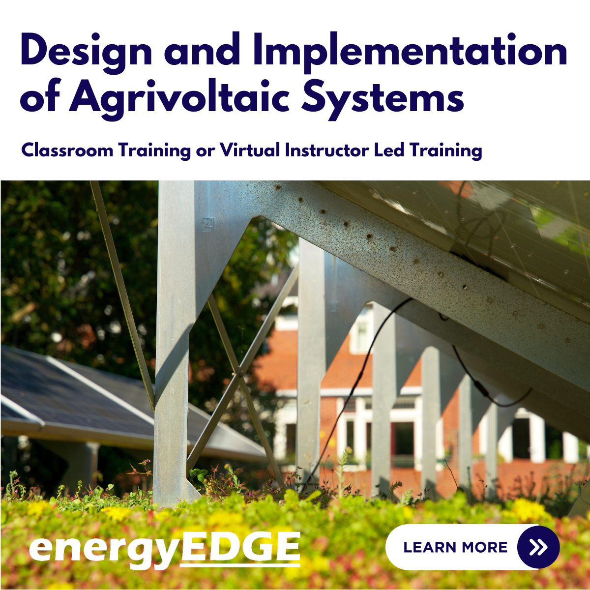 Design and Implementation of Agrivoltaic Systems - EnergyEdge | Energy ...