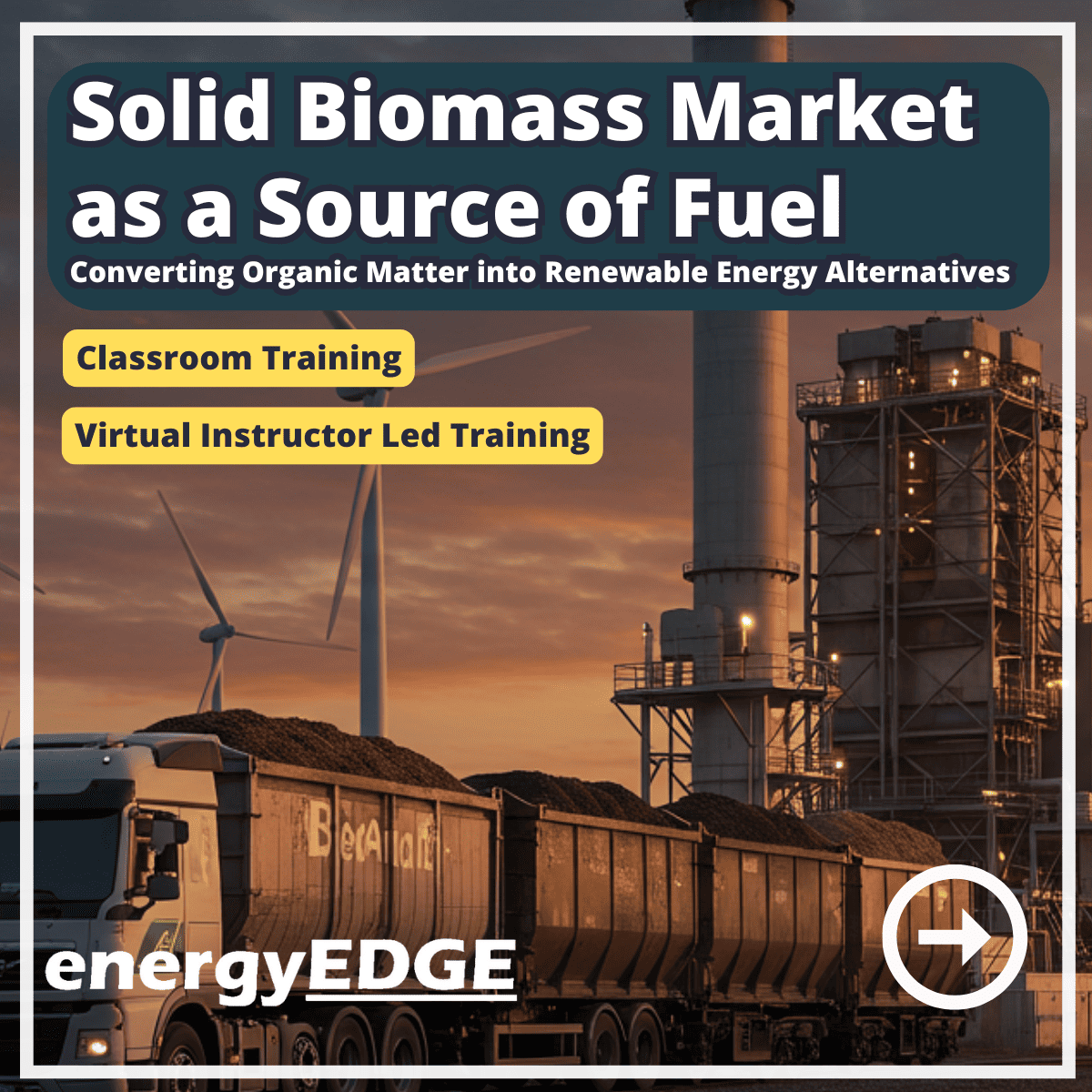 Solid Biomass Market as a Source of Fuel - Converting Organic Matter ...