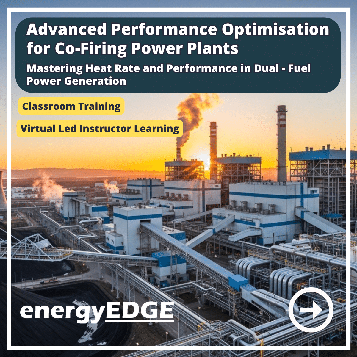 Advanced Performance Optimisation for Co-Firing Power Plants - Mastering Heat Rate and ...