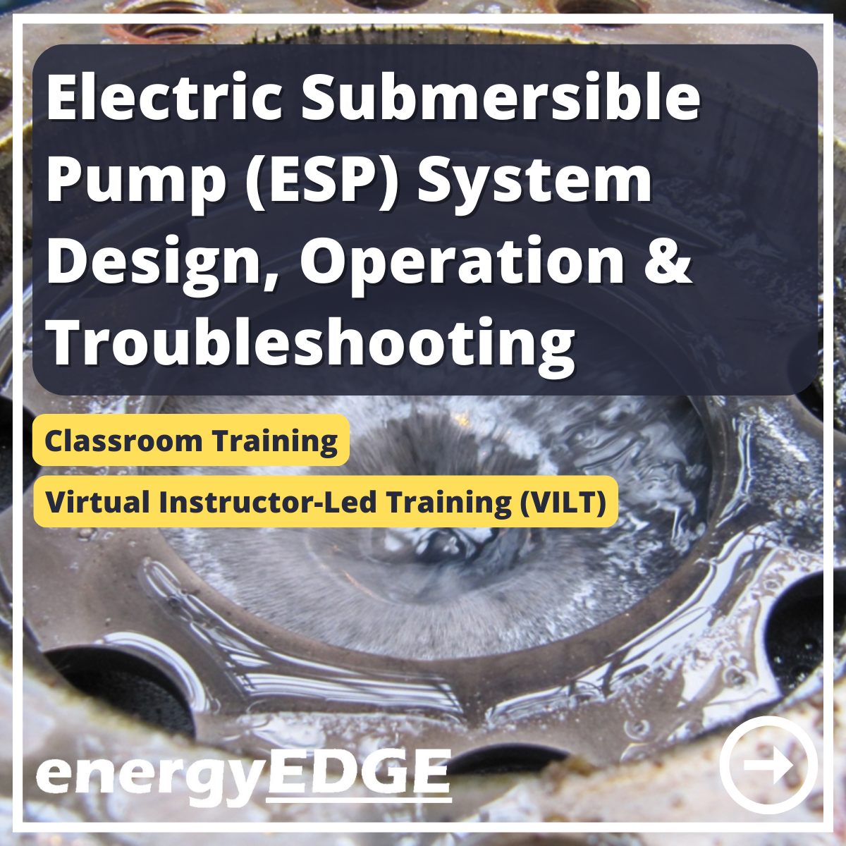 Electric Submersible Pump (ESP) System Design, Operation ...